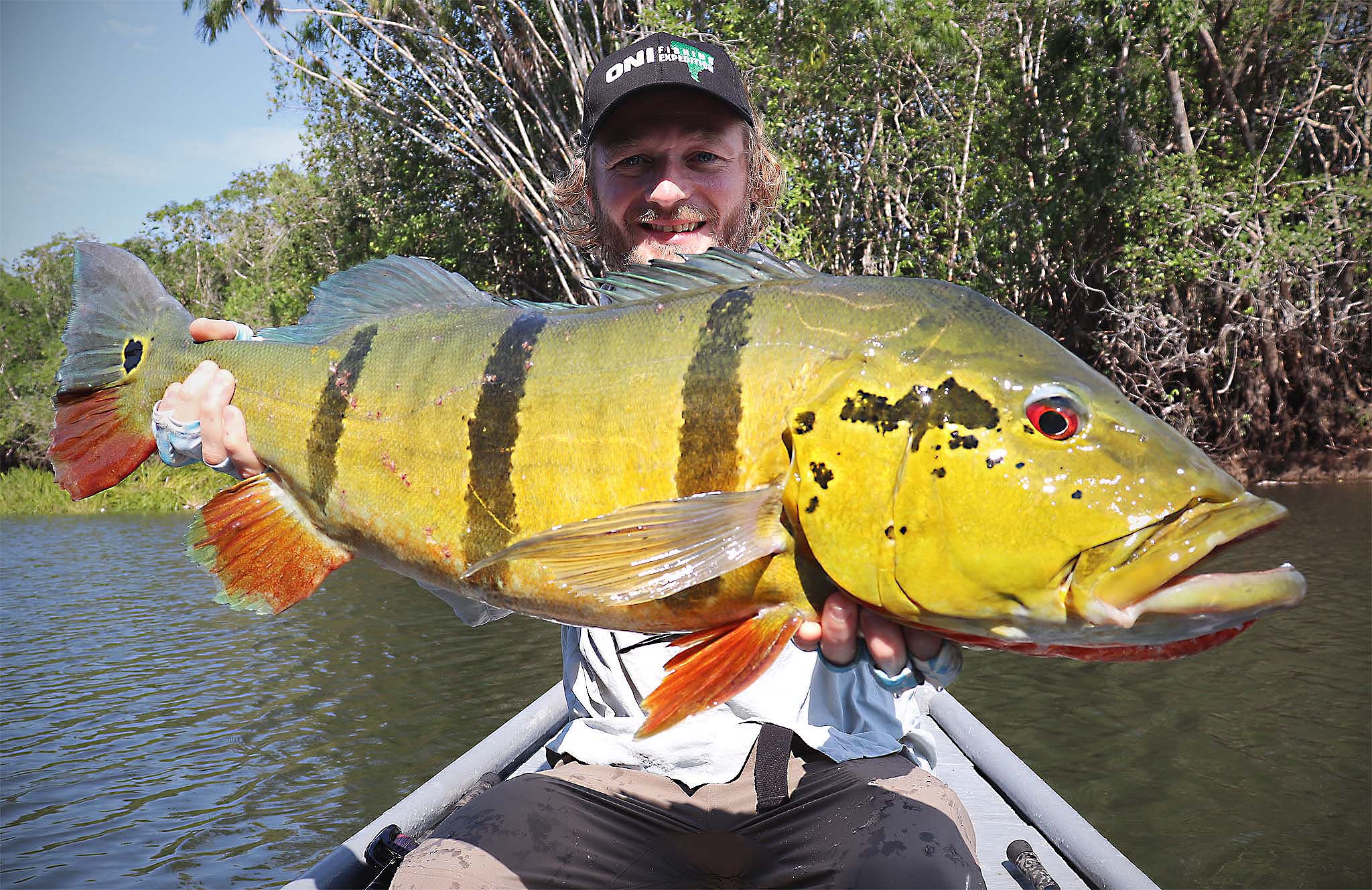 DPSG (Des Poissons Si Grands)